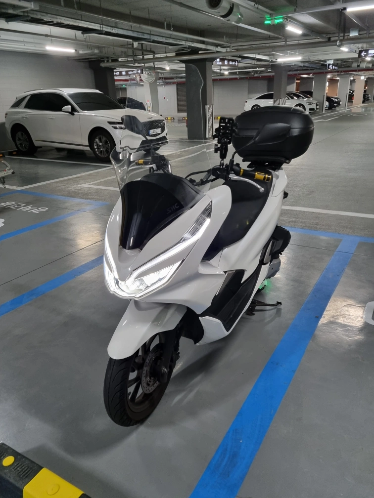혼다 19년식 pcx125 화이... | 당근 중고거래