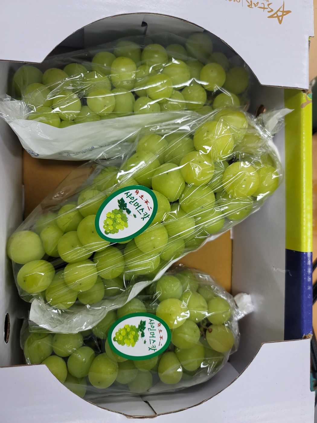 샤인머스캣 - 대구광역시 북구 사수동 | 비즈프로필