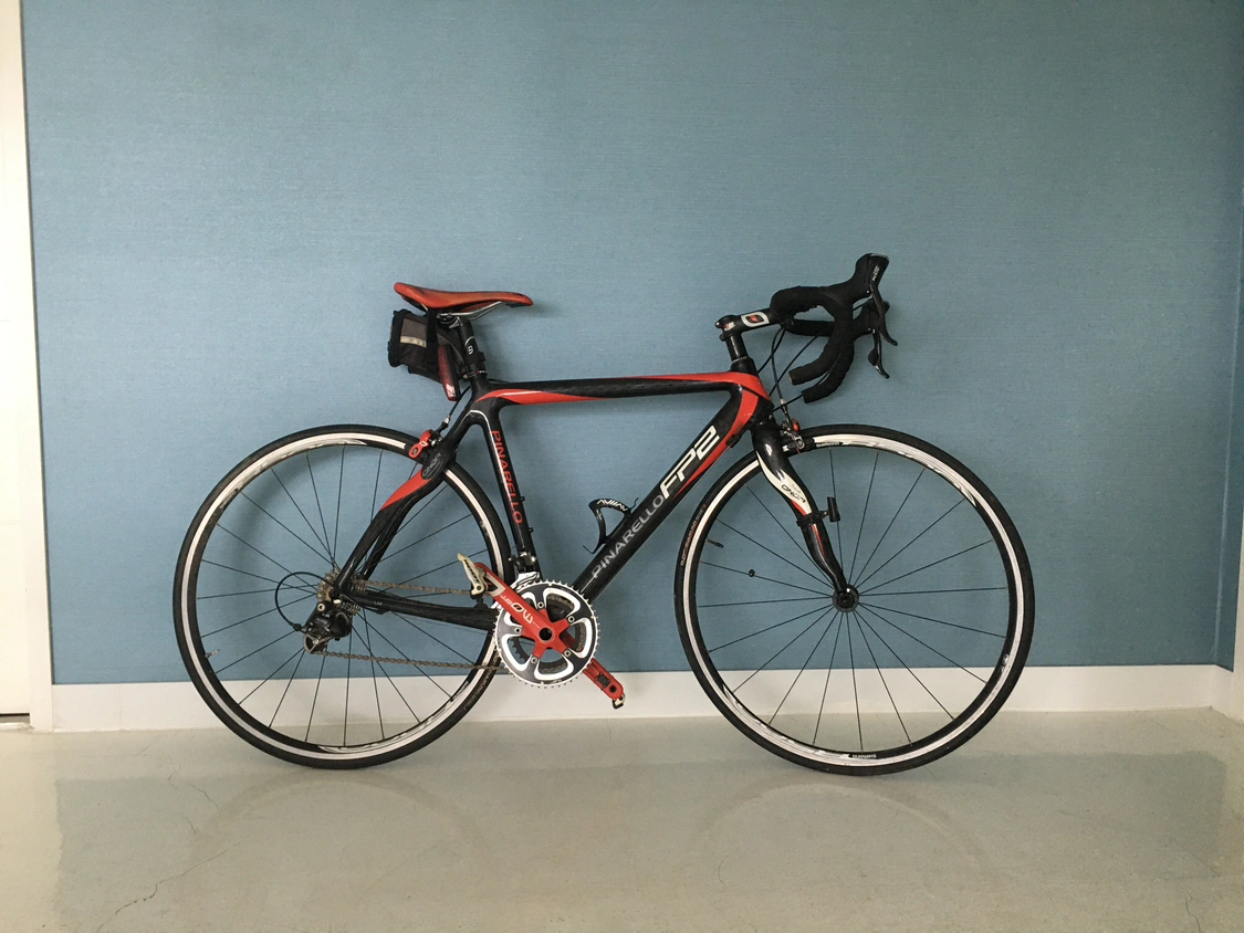 피나렐로 FP2 full carbon | 당근 중고거래