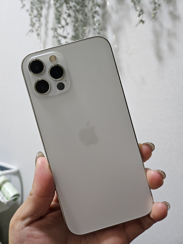 아이폰 12프로 실버 265G ... | 당근 중고거래
