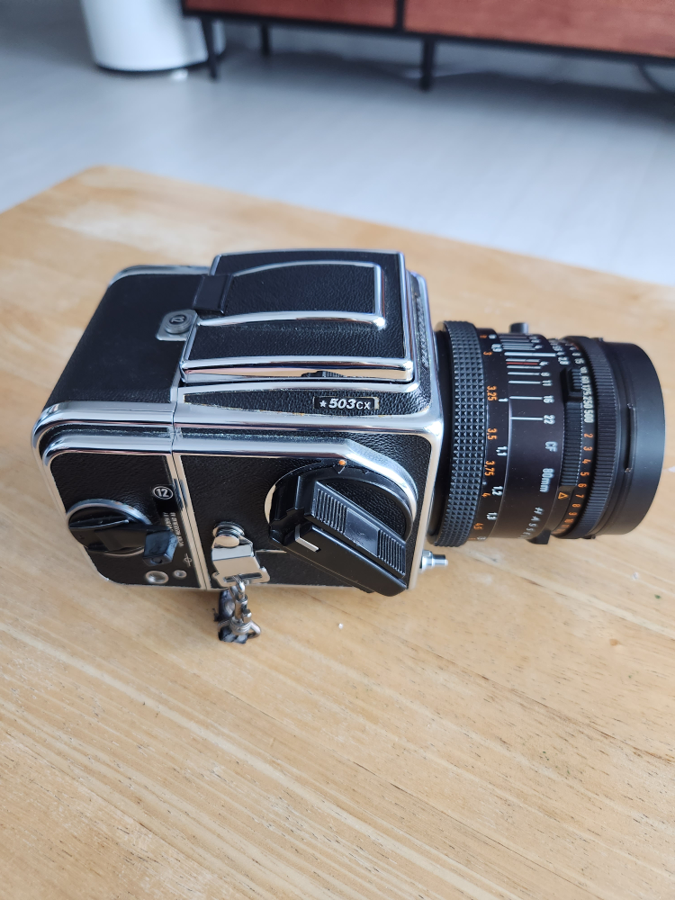 핫셀블라드 503cx | 당근 중고거래