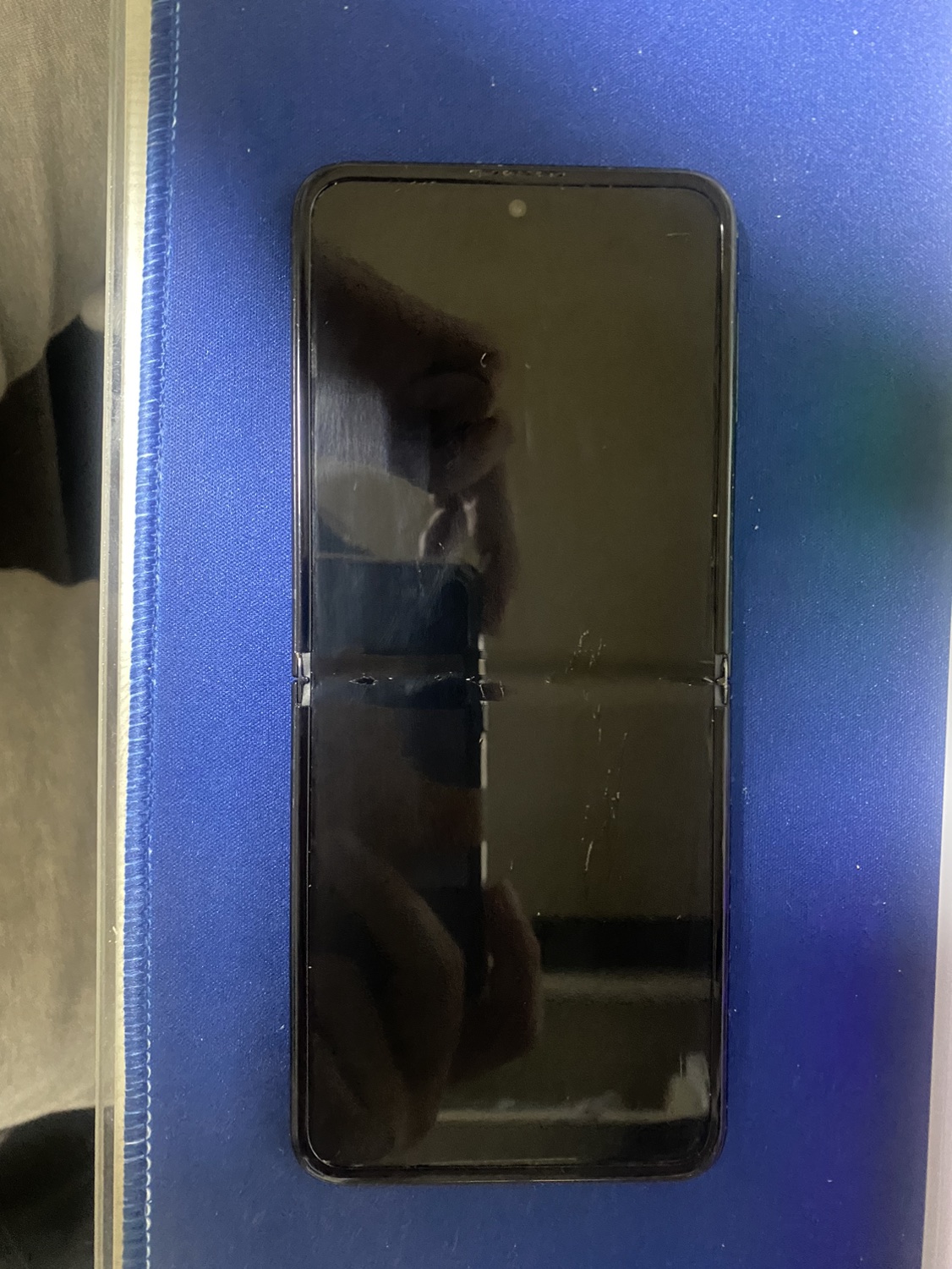 z플립3 256g | 당근 중고거래