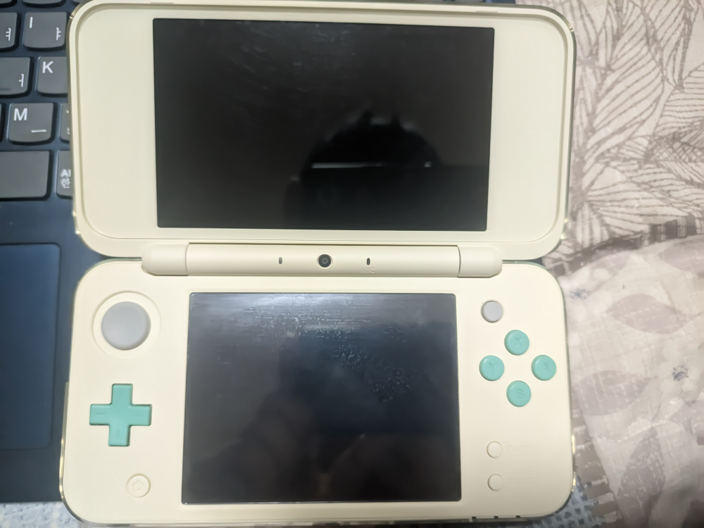 닌텐도 2ds 동물의 숲 에디션... | 당근 중고거래