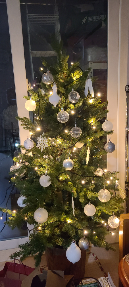 150cm 고급트리 화분 | 당근 중고거래