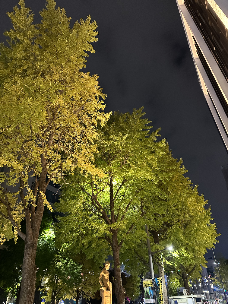 판매완료 | 당근 중고거래