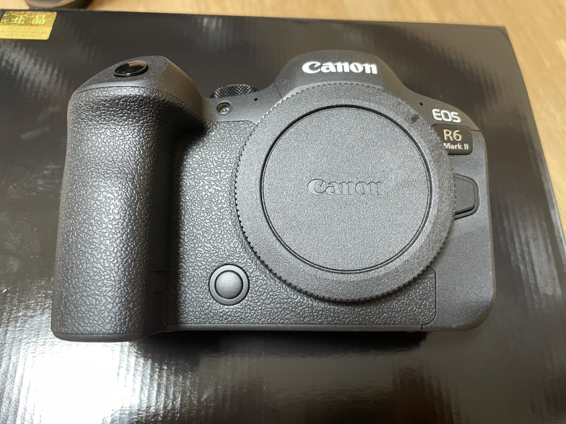 Eos r6 mark2 r6m2 | 당근 중고거래