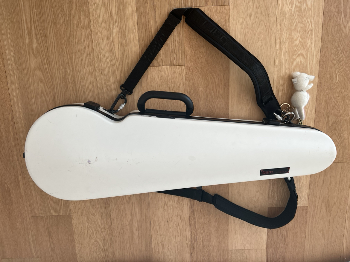 Bam case 뱀 바이올린케이... | 당근 중고거래