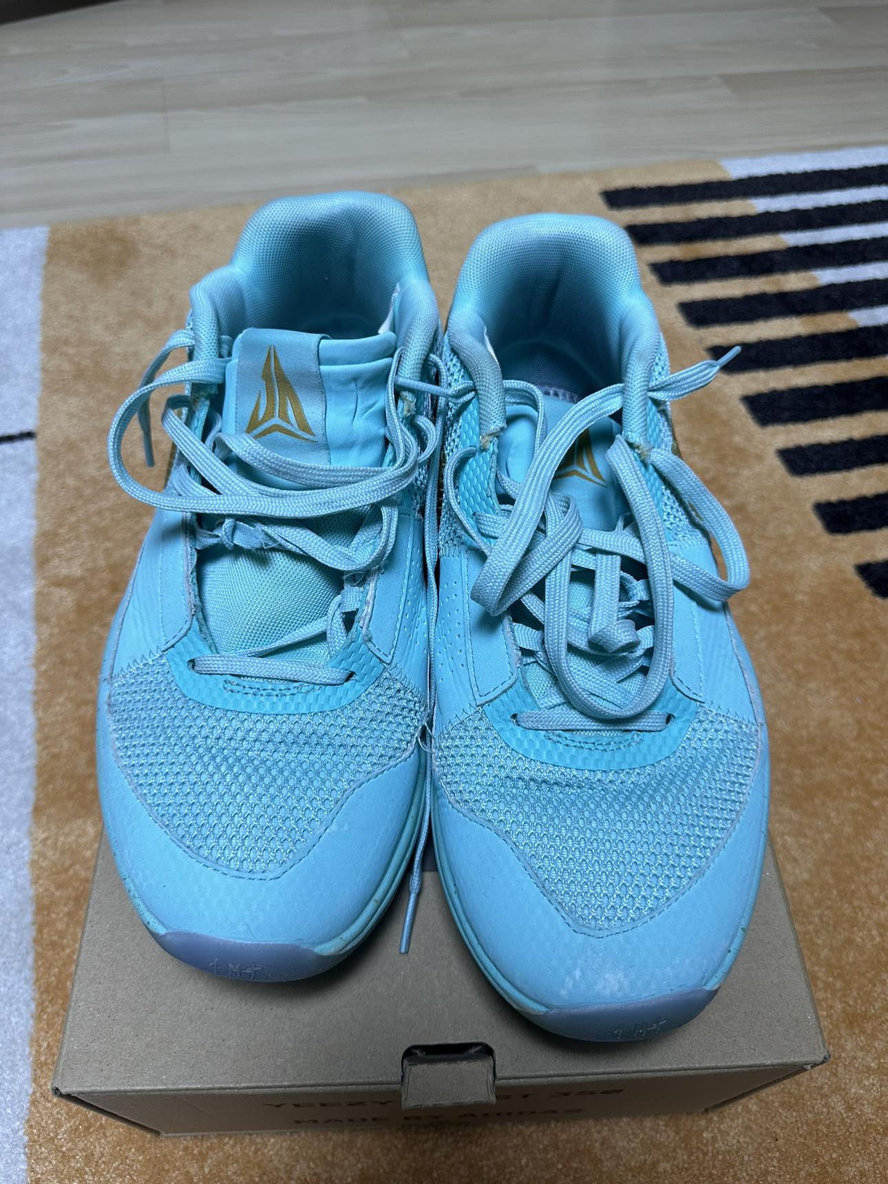 자모란트 농구화 290 당근 중고거래