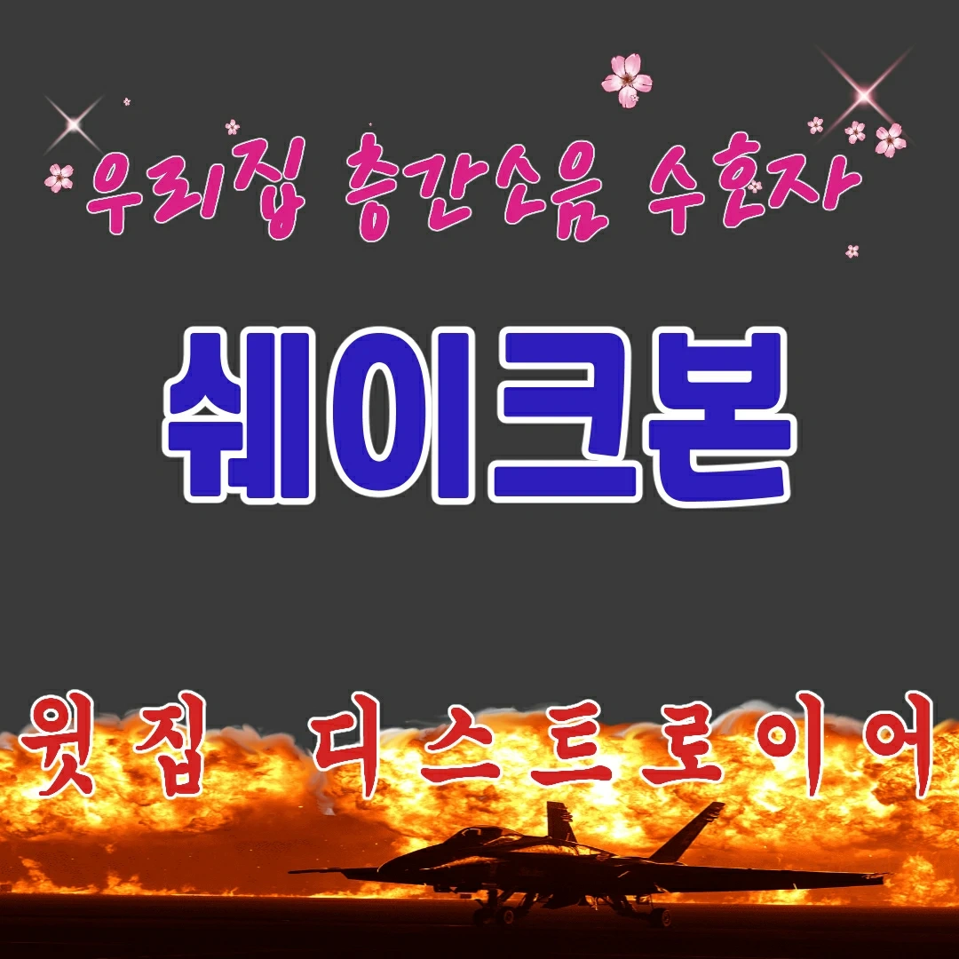 층간소음 보복 스피커 쉐이크본 당근 중고거래