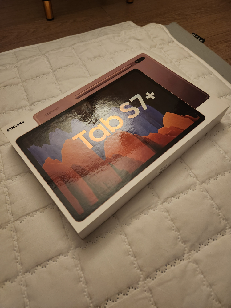 갤럭시탭 s7+ 256GB 미스... | 당근 중고거래