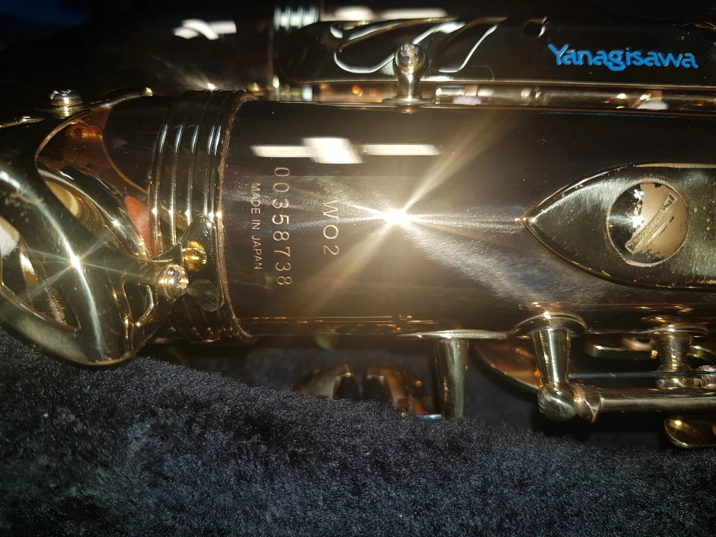 야나기사와 W02 알토색소폰 | 취미/게임/음반 | 당근 중고거래