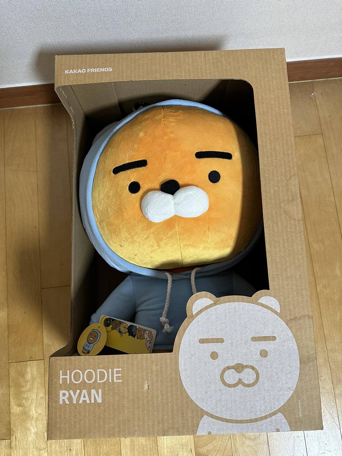 카카오프렌즈 라이언대형 인형 | 당근 중고거래
