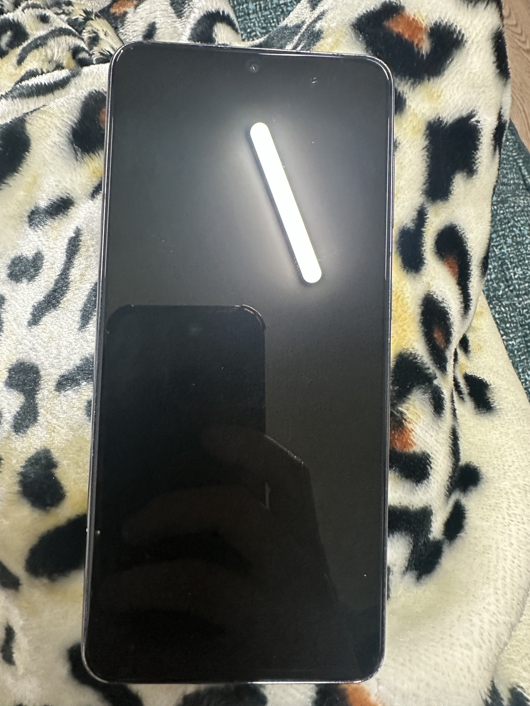 s21 256기가 | 당근 중고거래