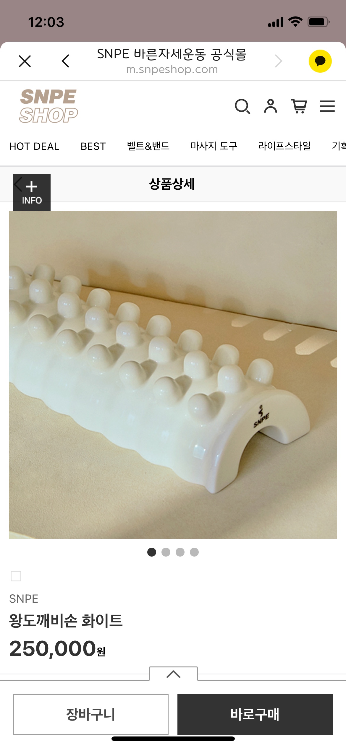 SNPE 왕도깨비손 | 신정4동 | 스포츠/레저 | 당근 중고거래