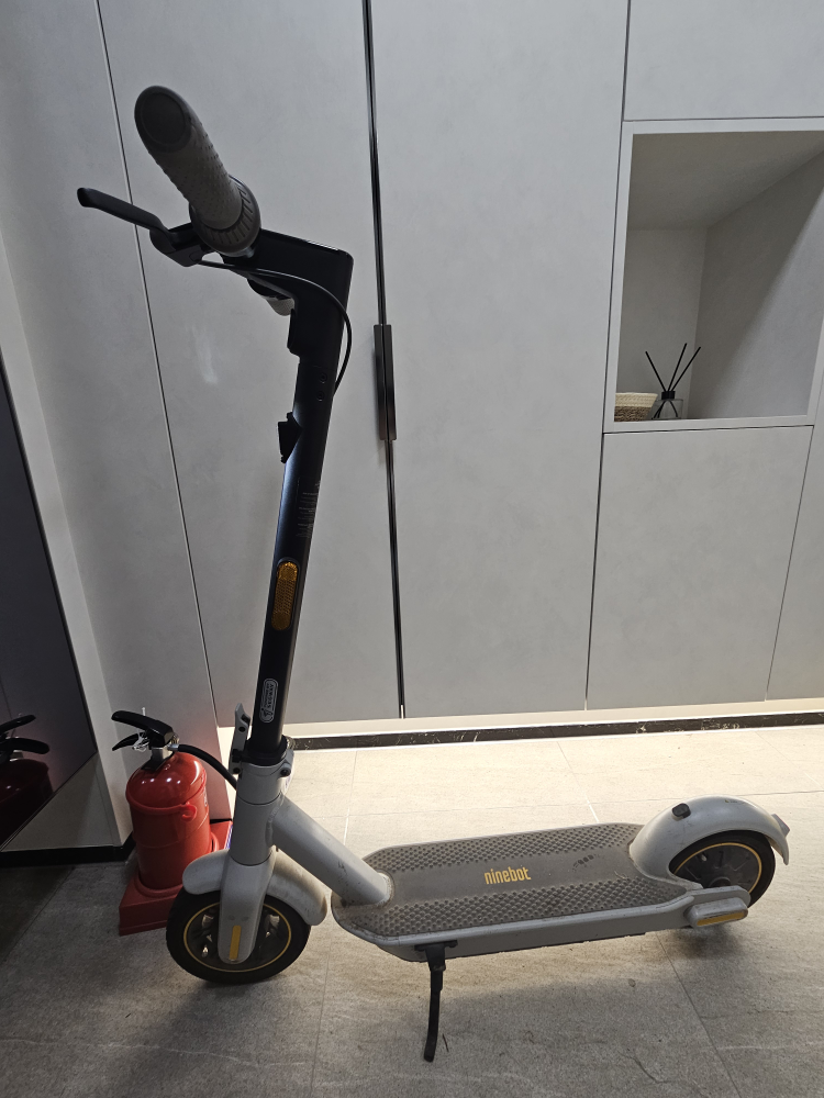 전동킥보드 나인봇 G30L | 당근 중고거래