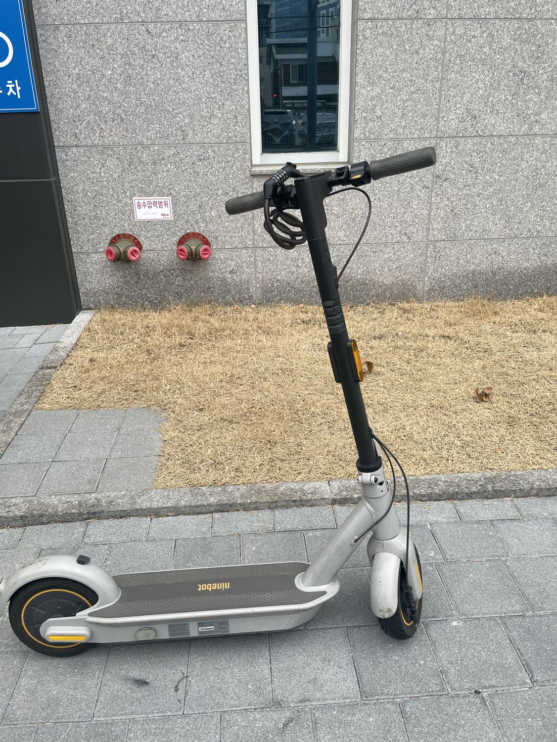 나인봇 킥보드 G30L | 당근 중고거래