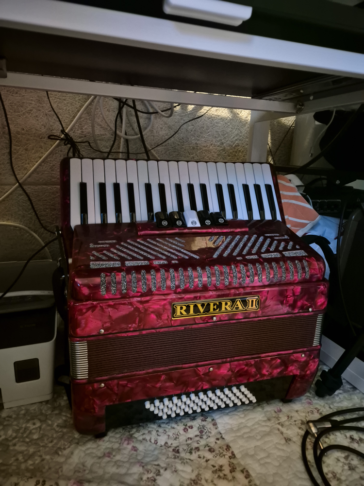 리베라2(RIVERA II) 아... | 당근 중고거래