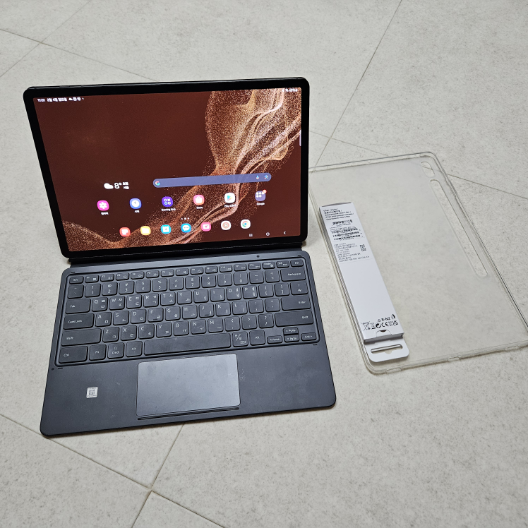 갤럭시탭 S8 플러스 256G ... | 당근 중고거래