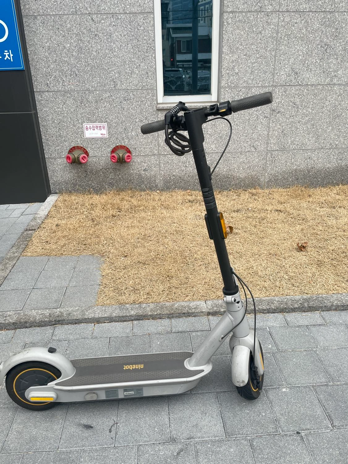 나인봇 킥보드 G30L (주행거... | 당근 중고거래