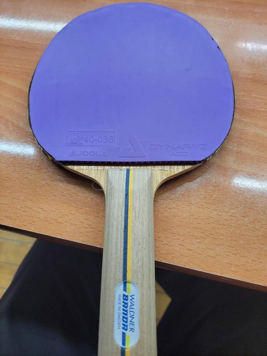 니타쿠 Waldner Banda... | 당근 중고거래