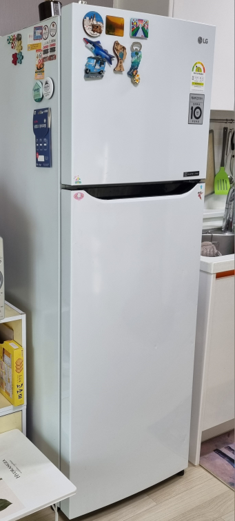 LG냉장고 2도어 254리터(B... | 당근 중고거래