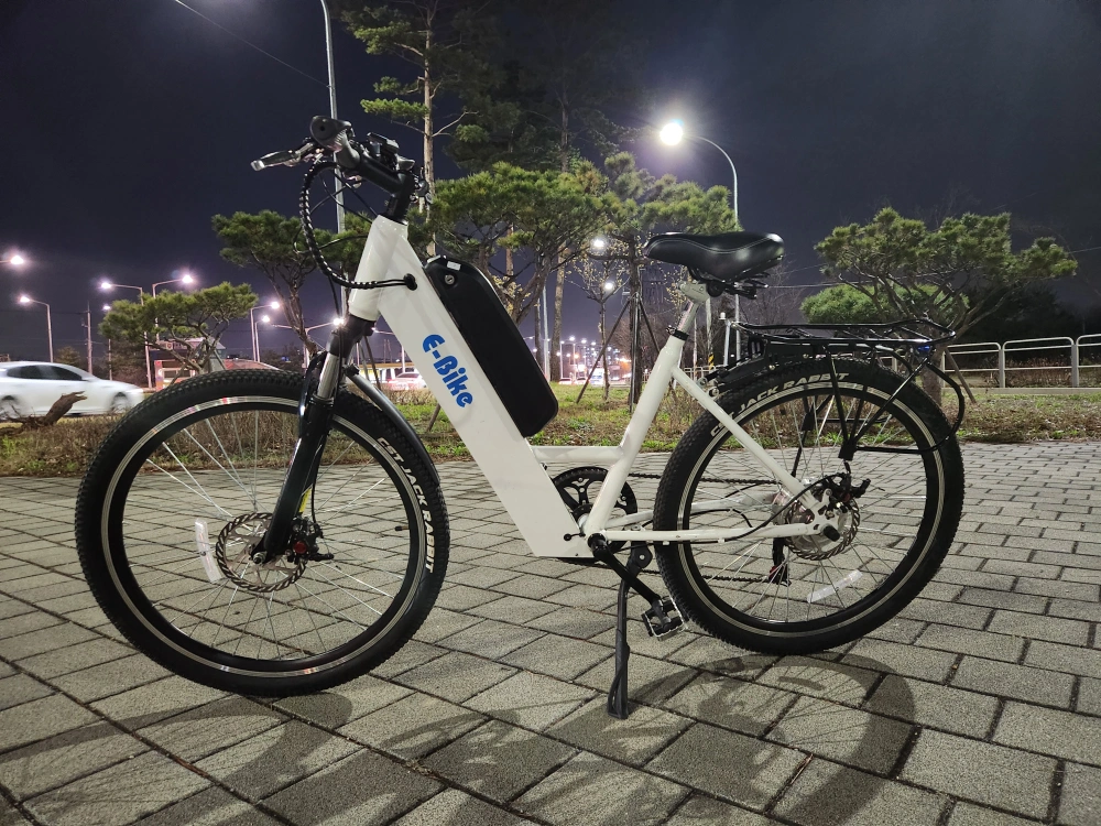 E BIKE 올 튜닝 전기자전거 | 당근 중고거래