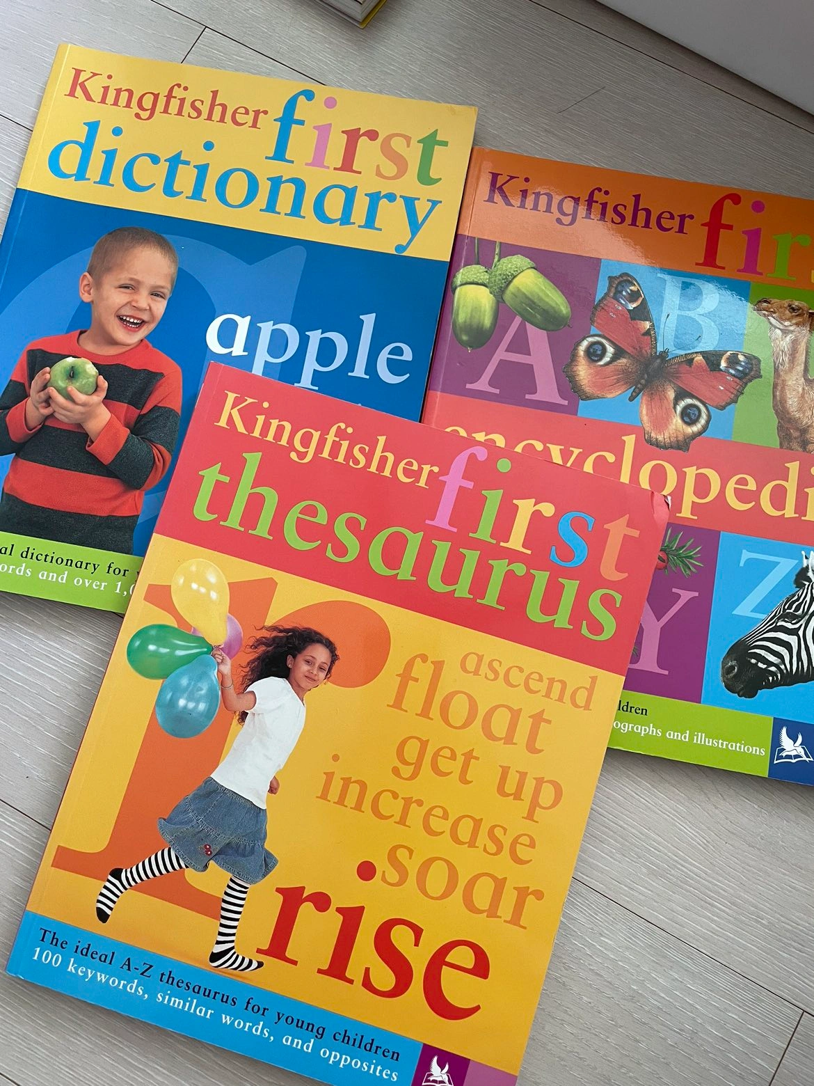 Kingfisher 어린이 영어 사전 백과사전 유의어 (thesaurus) 사전 3종 새 컨디션 | 개포동 | 유아도서 | 당근 ...