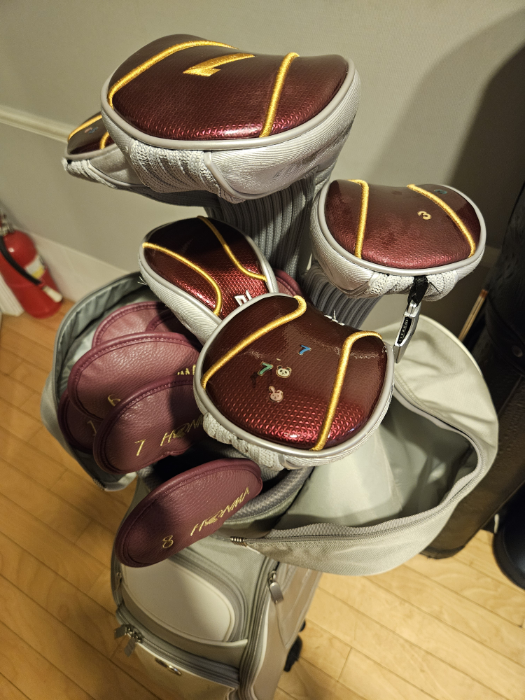 혼마 베레스 E06 2스타 여성... | 당근 중고거래