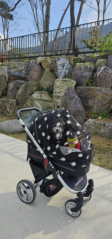 피콜로카네 애견유모차 | 반려동물용품 | 당근 중고거래