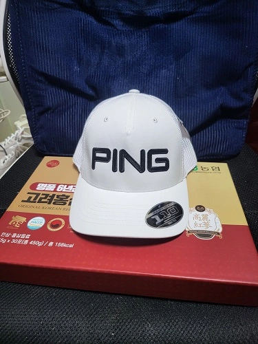 PING ONE TEN 메쉬 볼캡 | 당근 중고거래