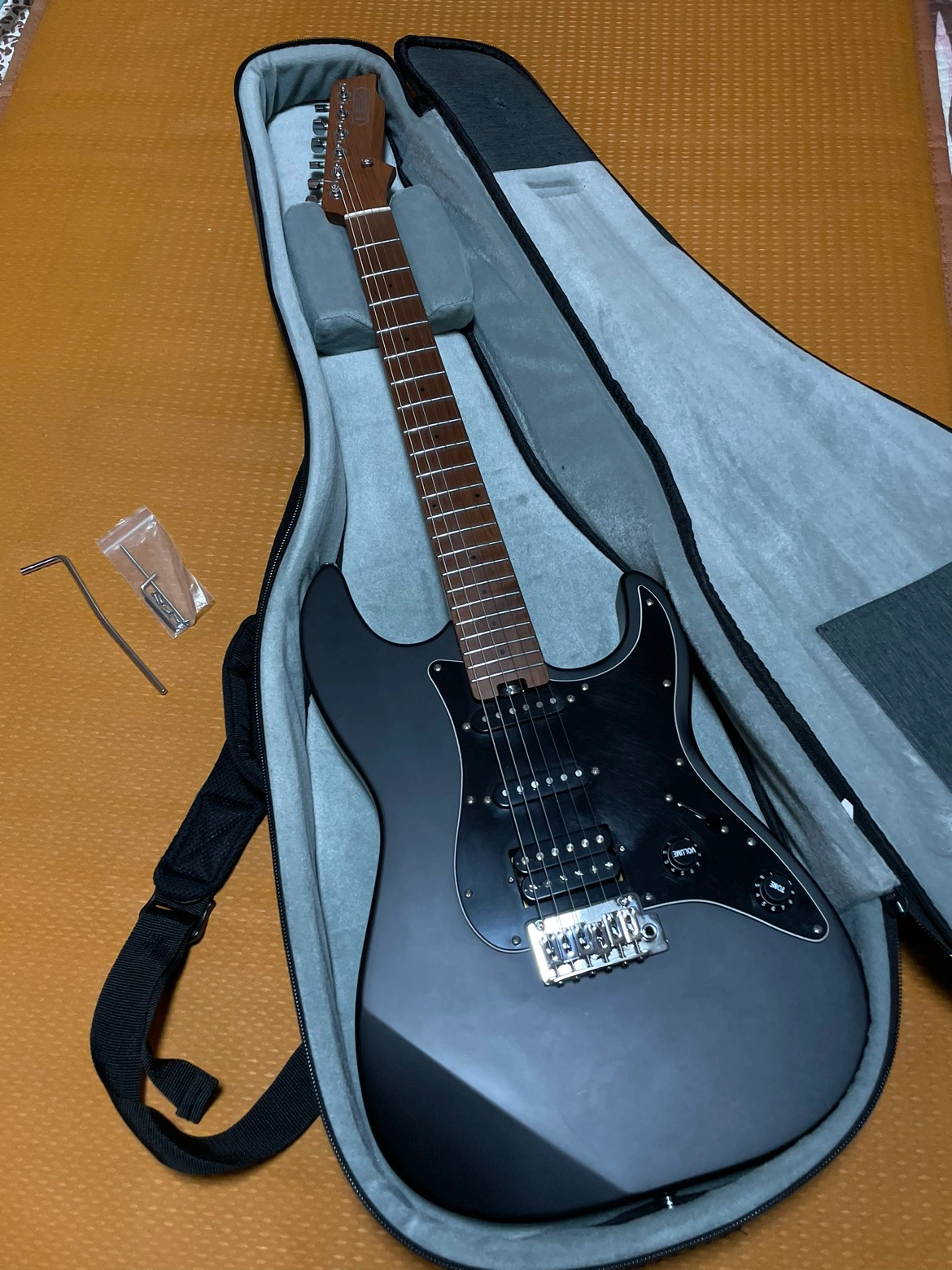 HEX E-300 일렉기타 판매합니다 | 당근 중고거래