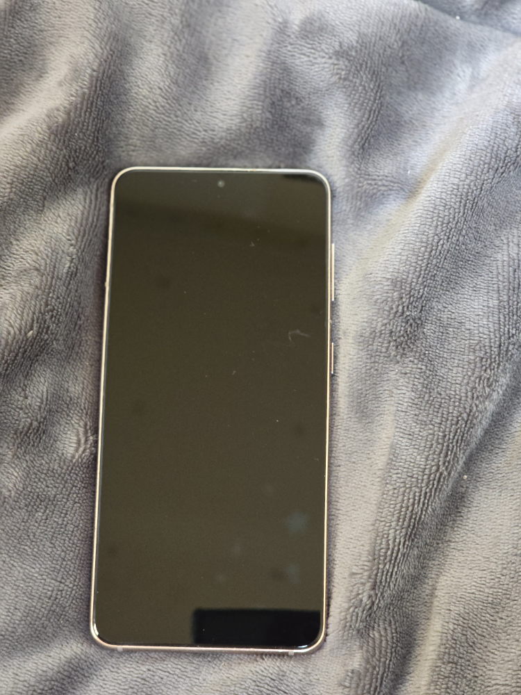 s21 256기가+갤럭시 버즈 ... | 당근 중고거래