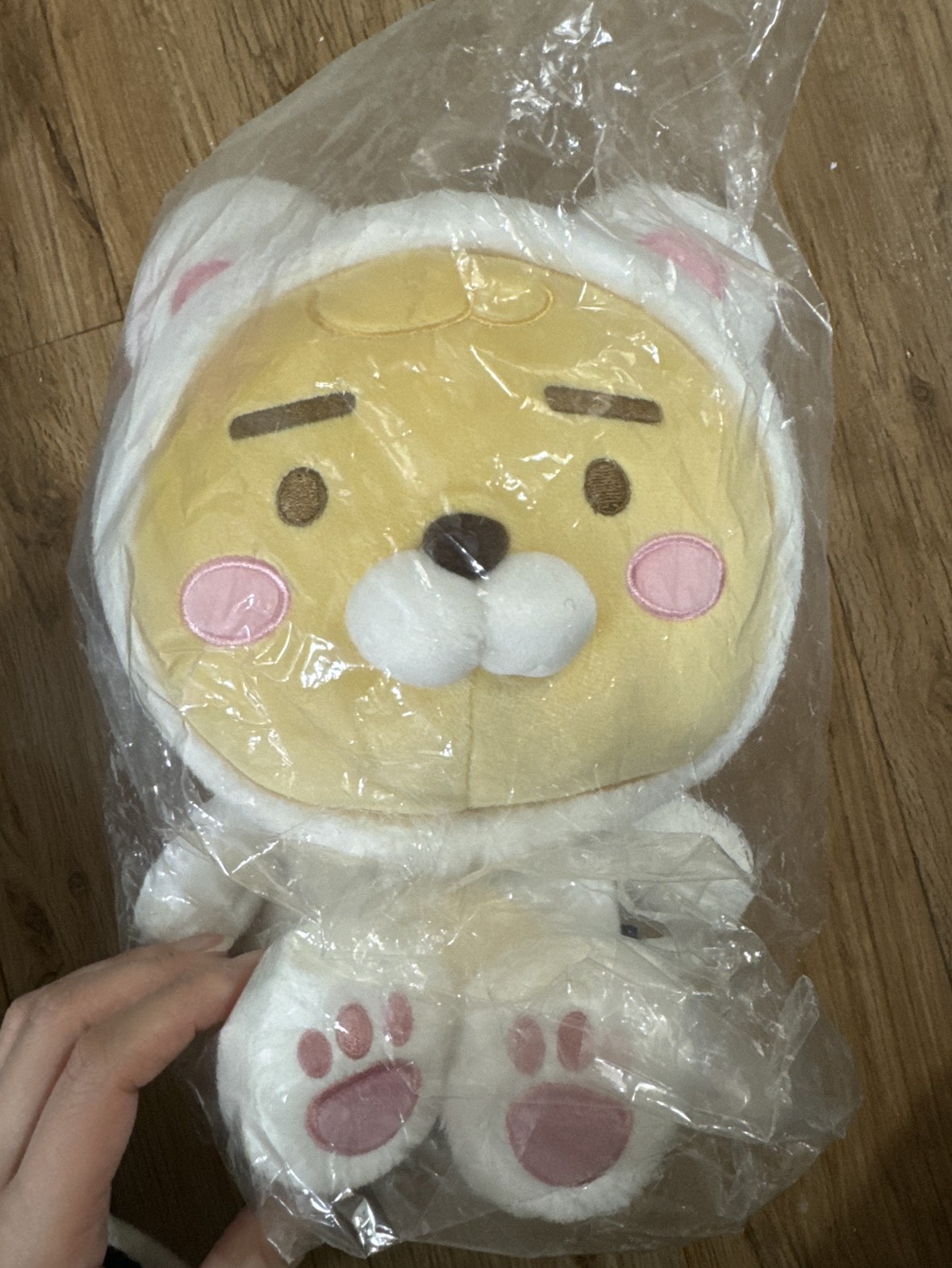 카카오라이언인형 | 당근 중고거래