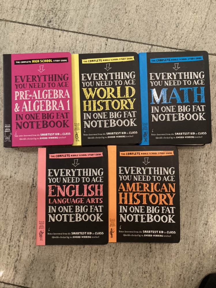 One Big Fat notebook 시리즈 영어 원서 새책 일괄