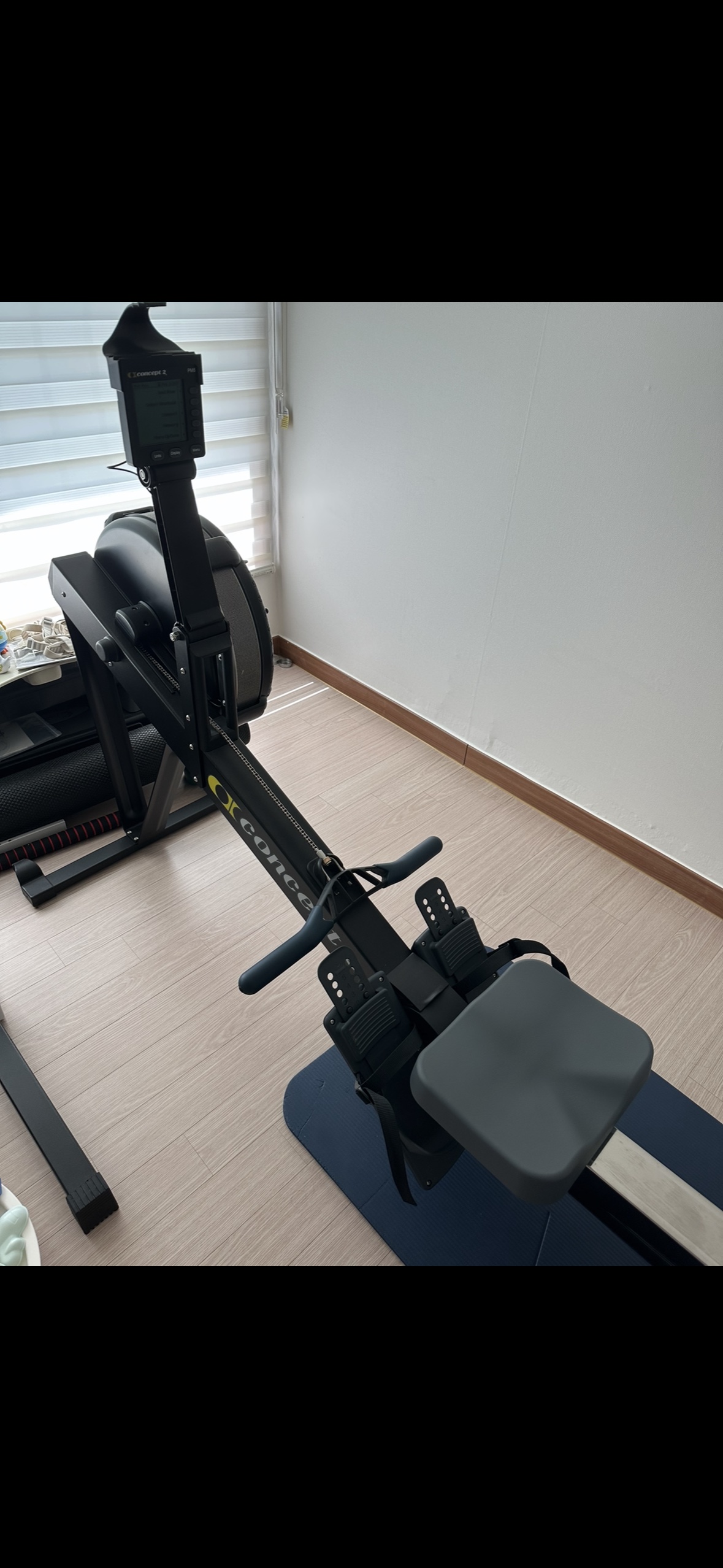 로잉머신 Concept2 PM5 팔아요 | 스포츠/레저 | 당근 중고거래