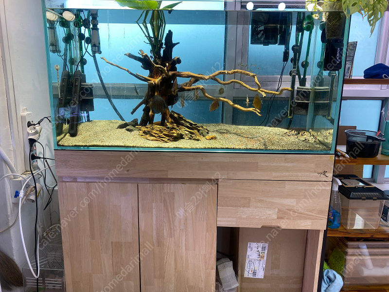 4자 하이수조 세트 | 당근 중고거래