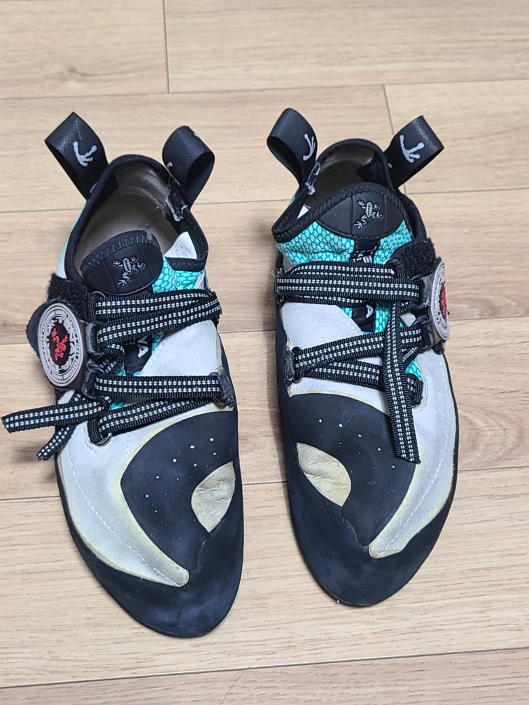 클라이밍화 테나야 오아시 eu37.5 | 당근 중고거래