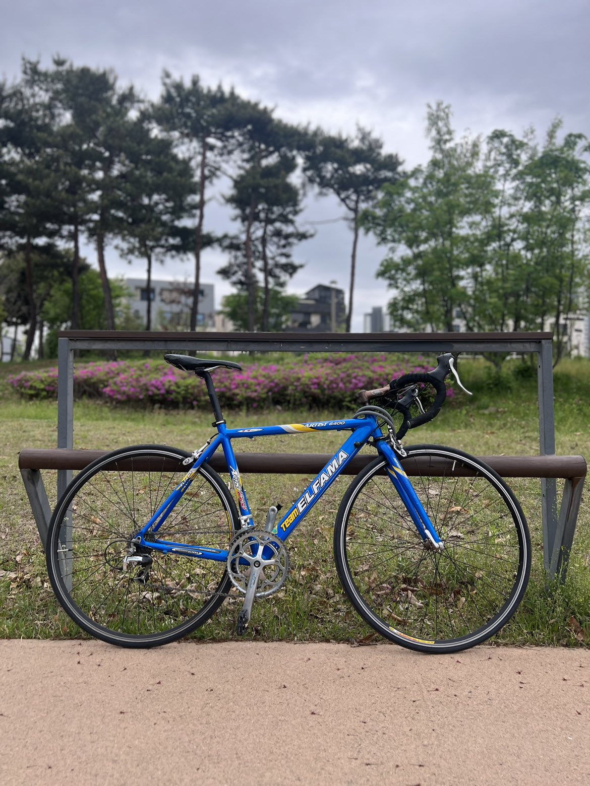 ELFAMA 엘파마 아티스트6400 싸이클 로드 자전거 530 | 스포츠/레저 | 당근 중고거래