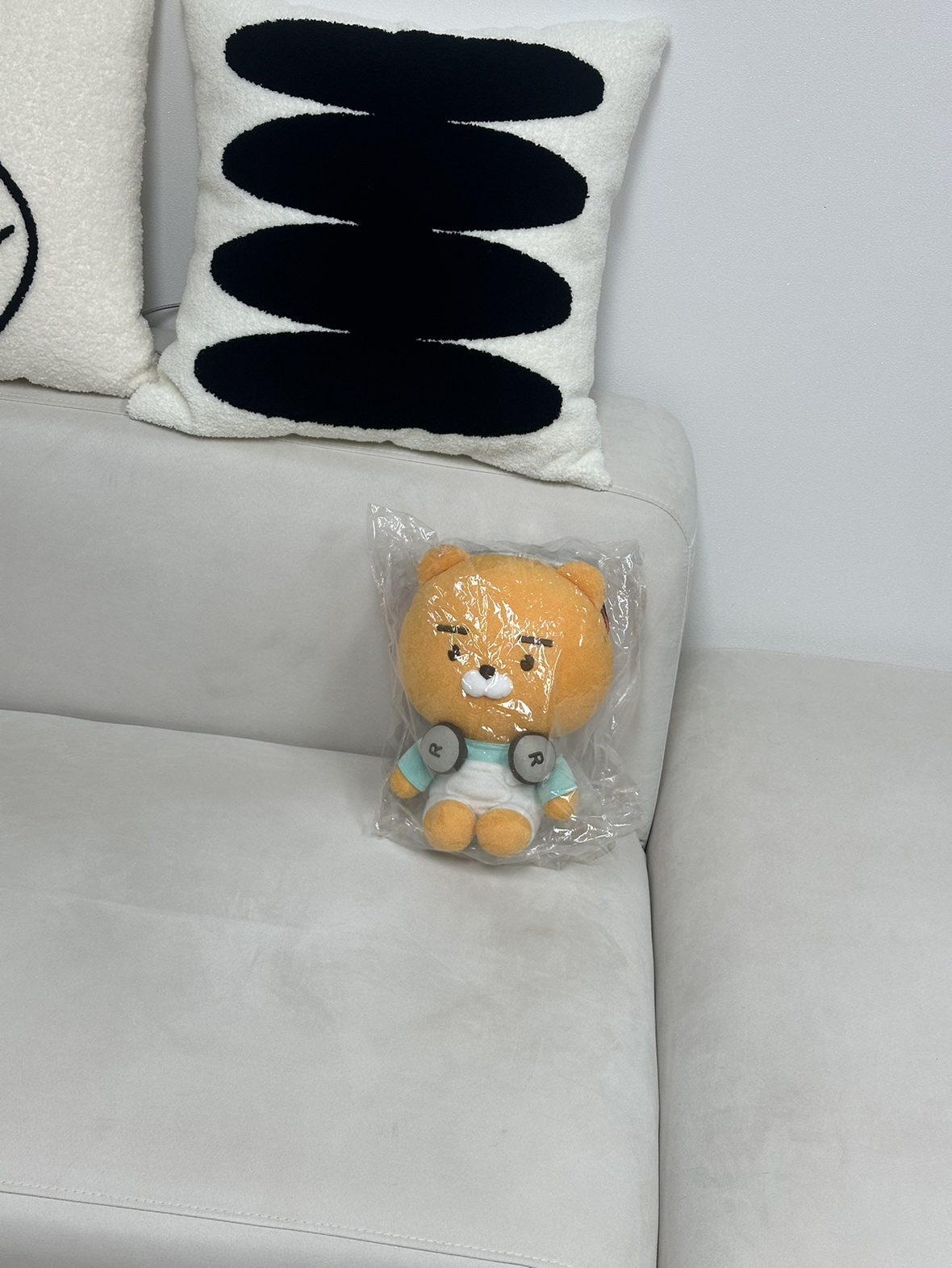 카카오프렌즈 라이언인형 | 당근 중고거래