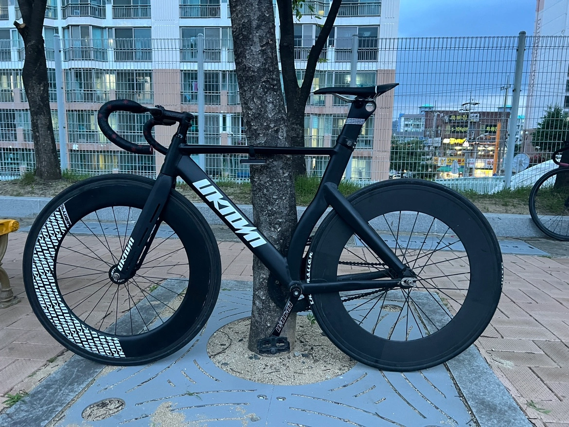 언노운 Lv3 2023 픽시 판... | 당근 중고거래