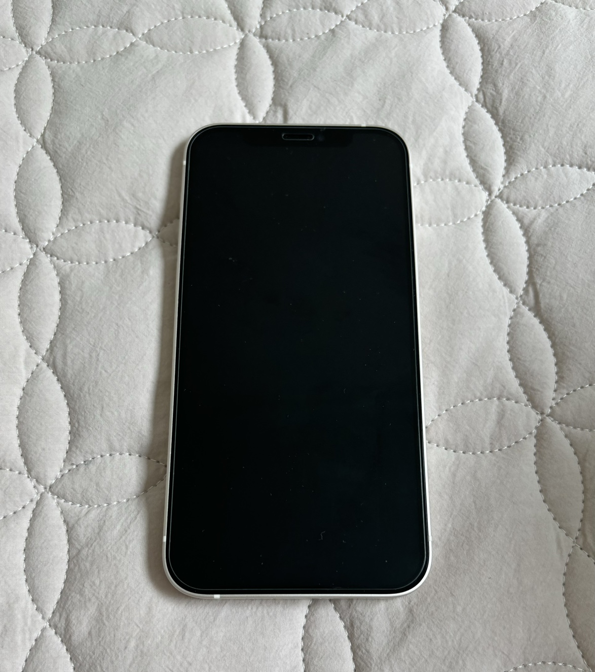 아이폰12 화이트 64g | 당근 중고거래