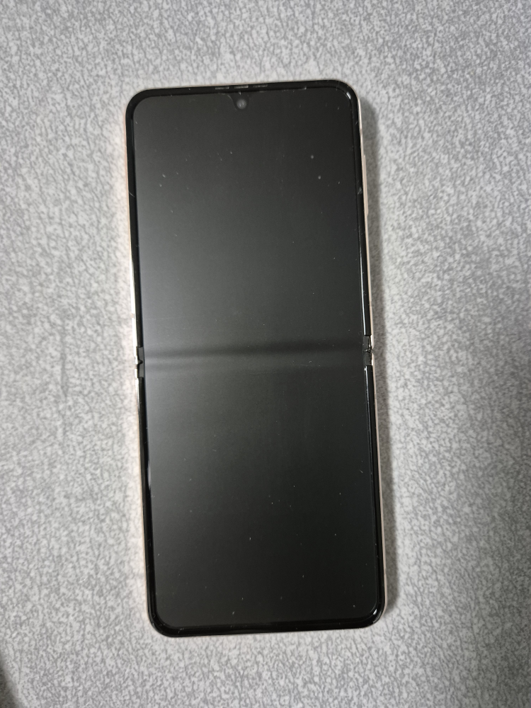Z플립4 256G 팝니다 | 당근 중고거래