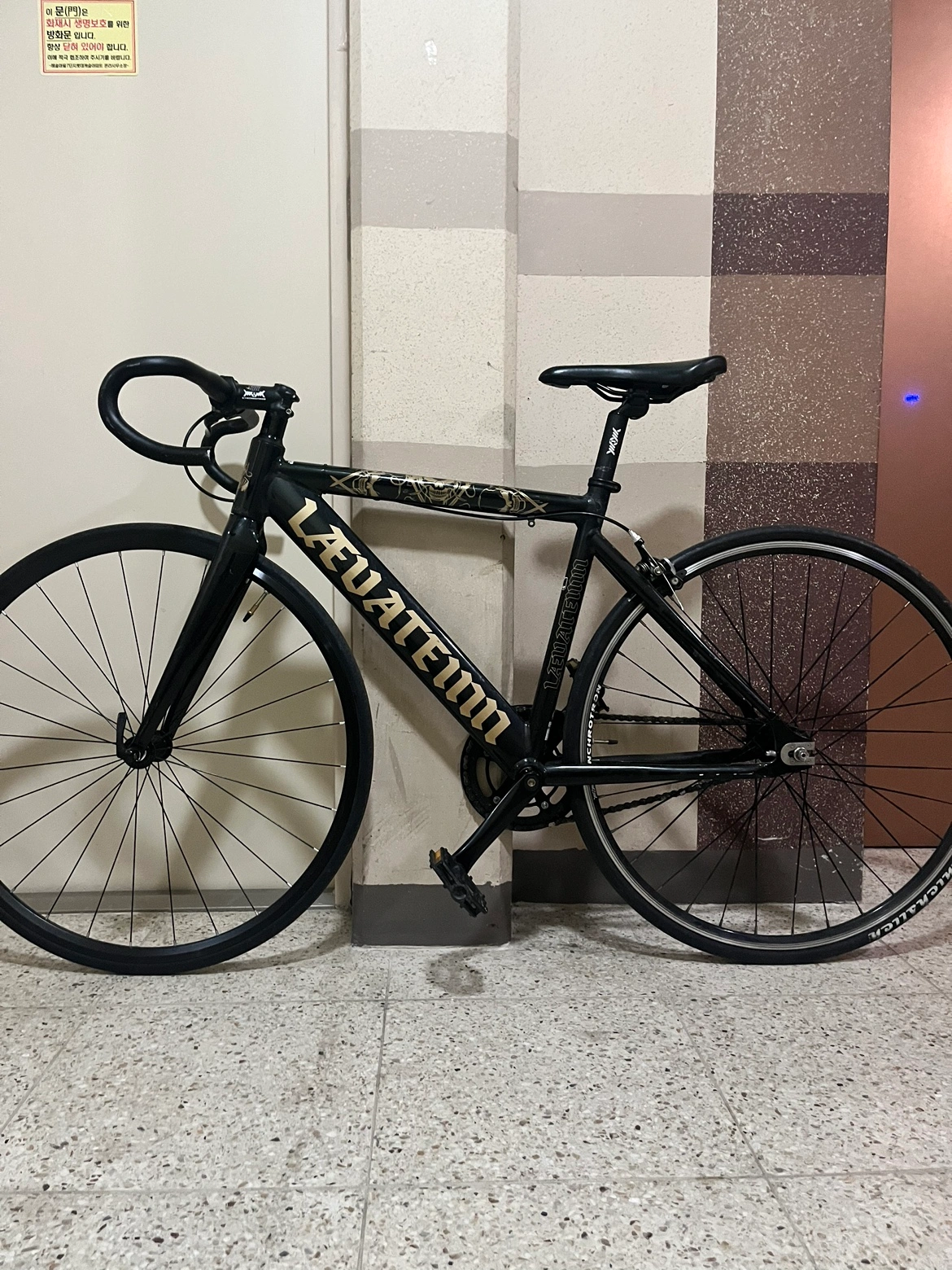 레바테인 픽시 판매&대차 | 스포츠/레저 | 당근 중고거래