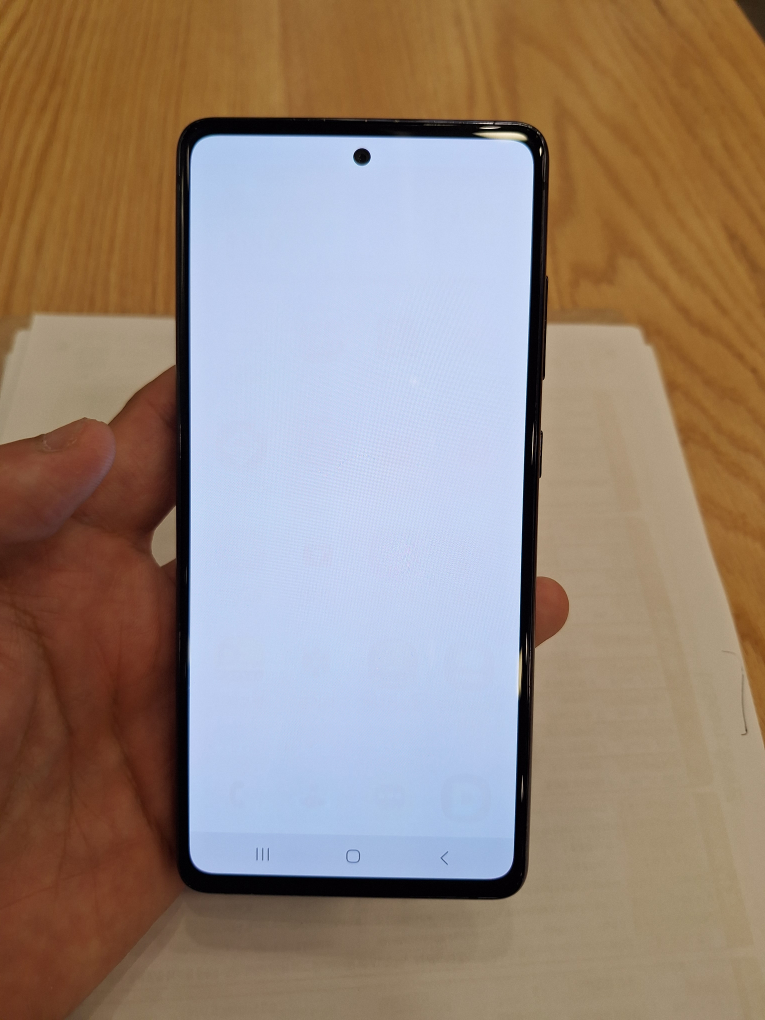 S20FE A급 | 당근 중고거래