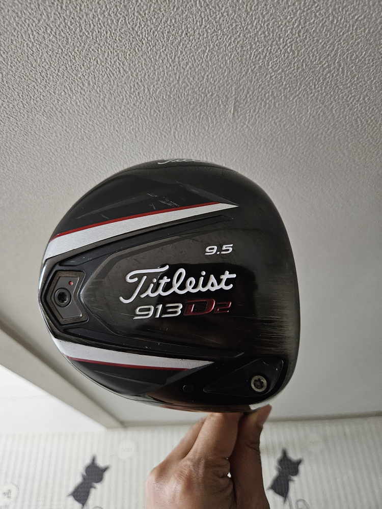 드라이버 타이틀리스트 913 d2 9.5도 diamana w60 flex-s | 스포츠/레저 | 당근 중고거래