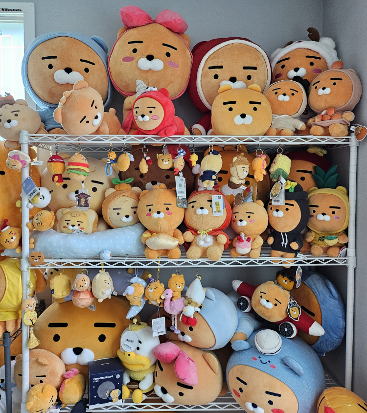 카카오프렌즈 라이언 인형 일괄 | 당근 중고거래