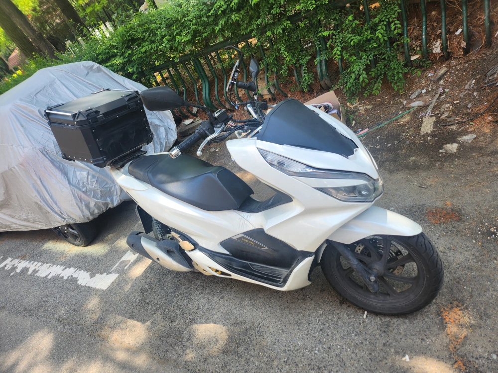 pcx 19년식 팔아요 | 당근 중고거래