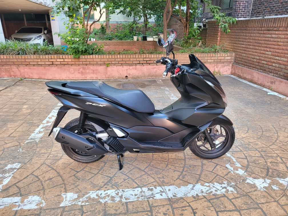 깔끔하게 관리된 혼다 PCX 1... | 당근 중고거래