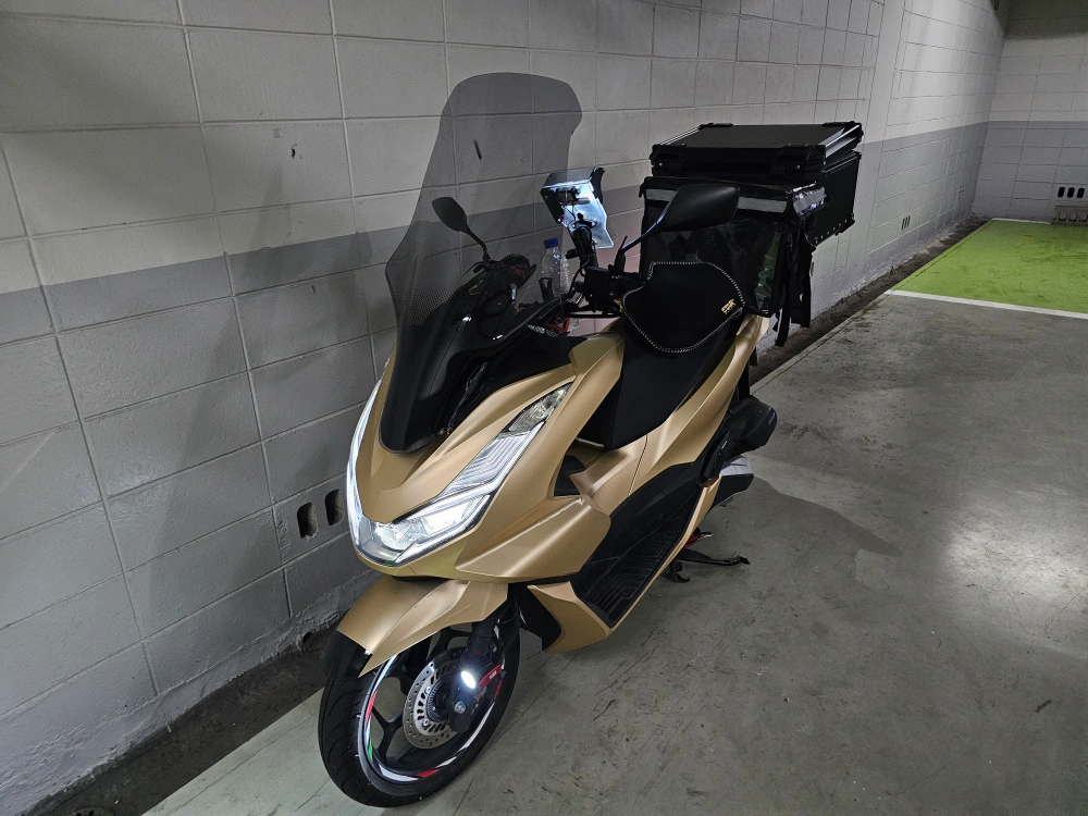 pcx 22년 23년등록 | 당근 중고거래