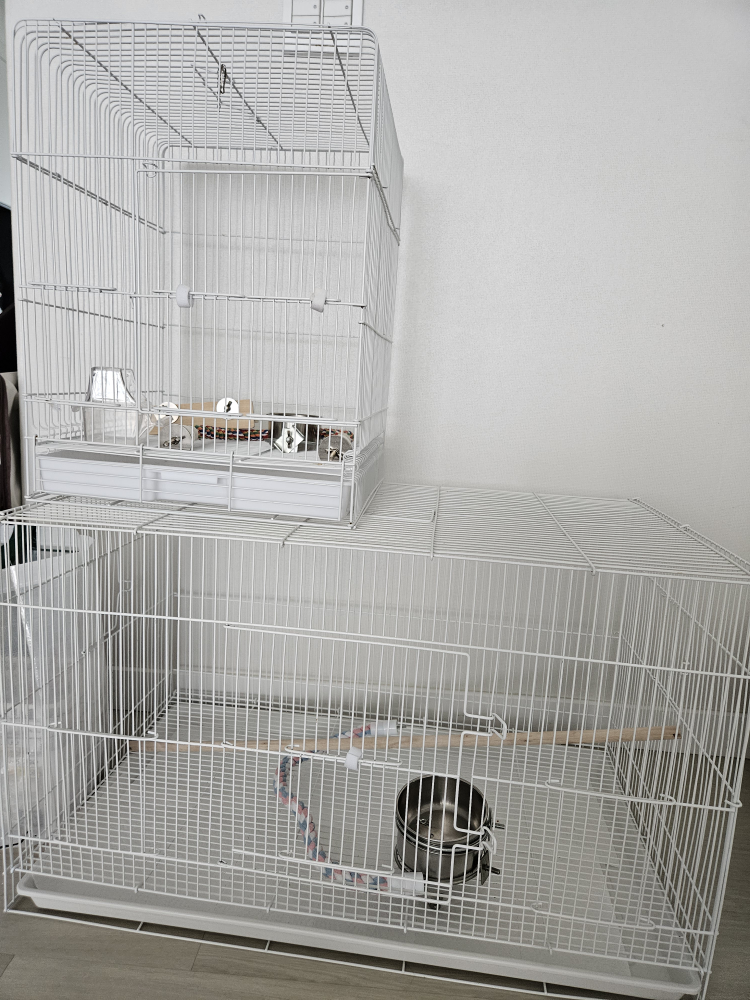 앵무새 이동장 | 당근 중고거래